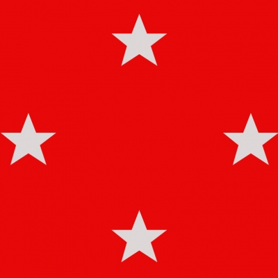 A bandeira de Londrina
